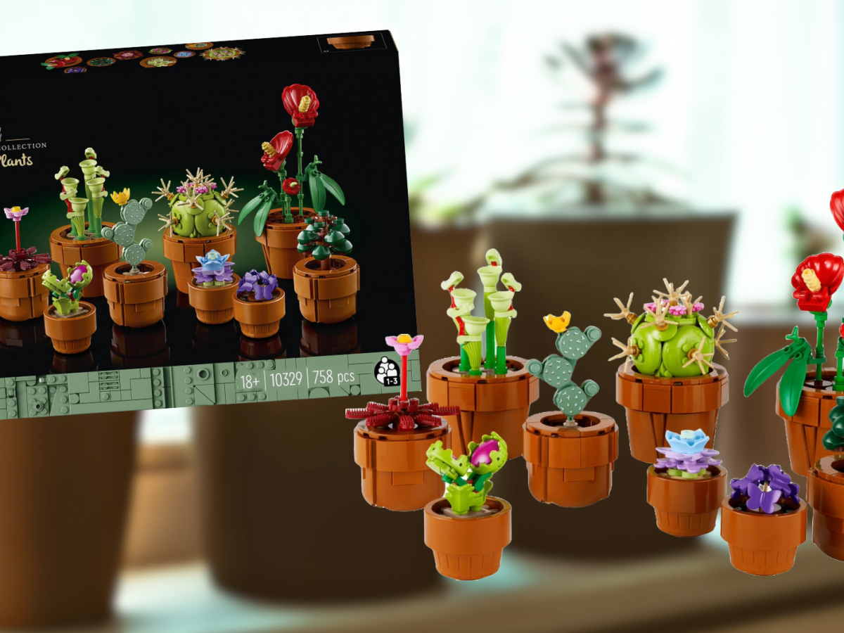 LEGO ICONS BOTANICAL COLLECTION – The Brick Post!