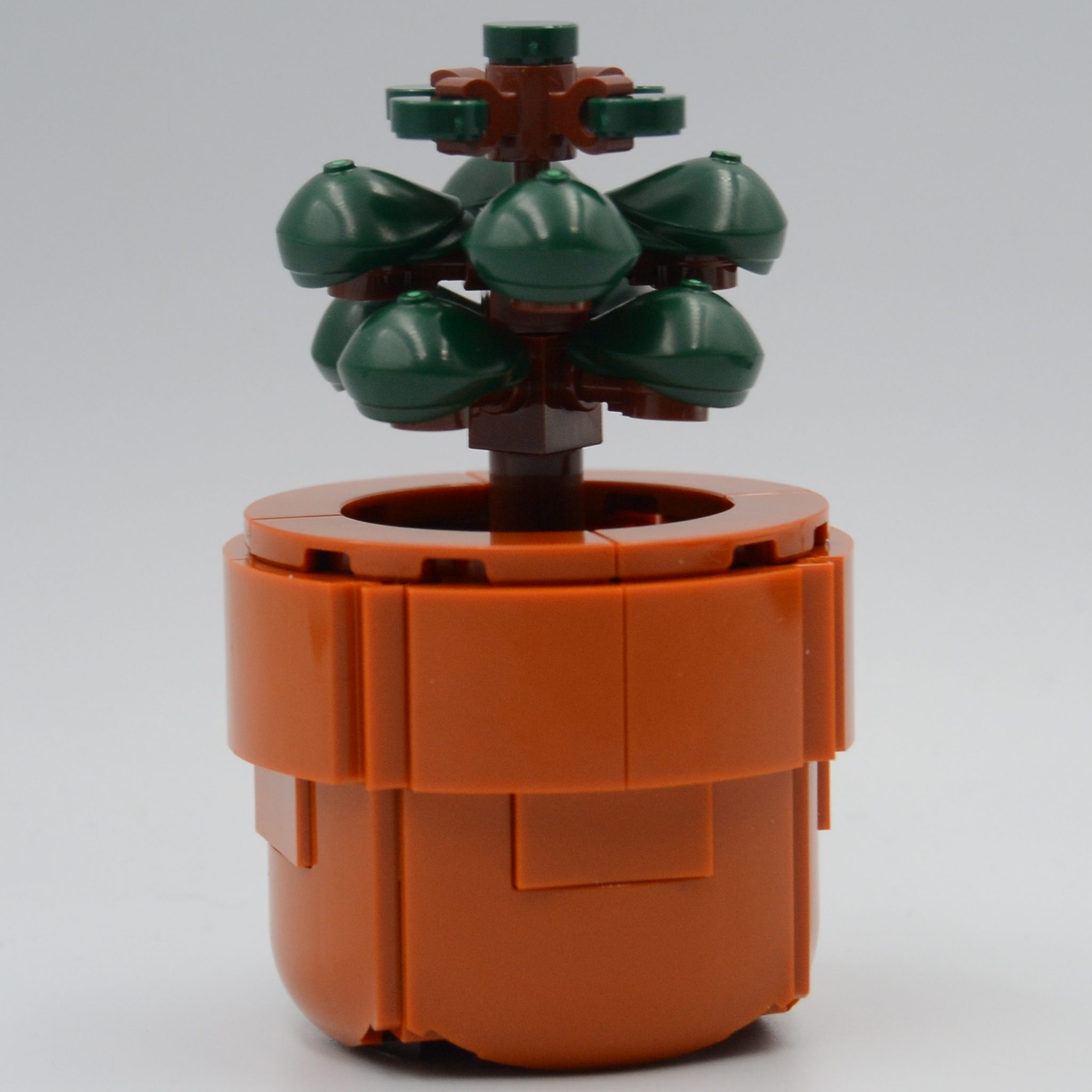 LEGO Botanical Collection Tiny Plants (10329) Review – The Brick Post!