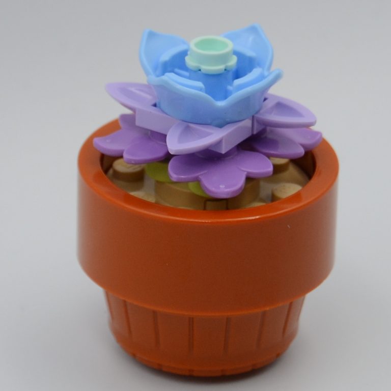 LEGO Botanical Collection Tiny Plants (10329) Review – The Brick Post!