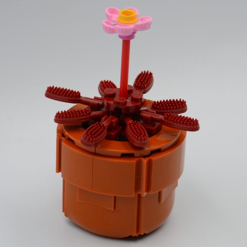 LEGO Botanical Collection Tiny Plants (10329) Review – The Brick Post!