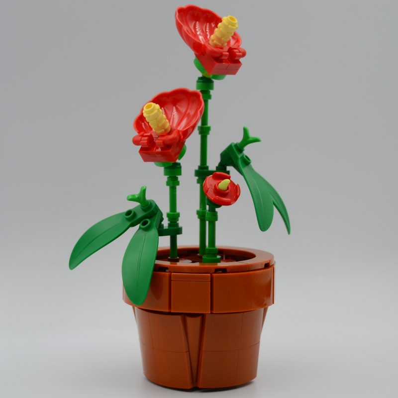 LEGO Botanical Collection Tiny Plants (10329) Review – The Brick Post!