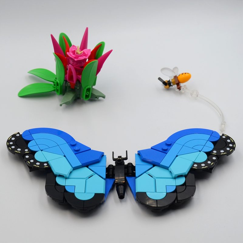 LEGO Ideas The Insect Collection (21342) Review – The Brick Post!