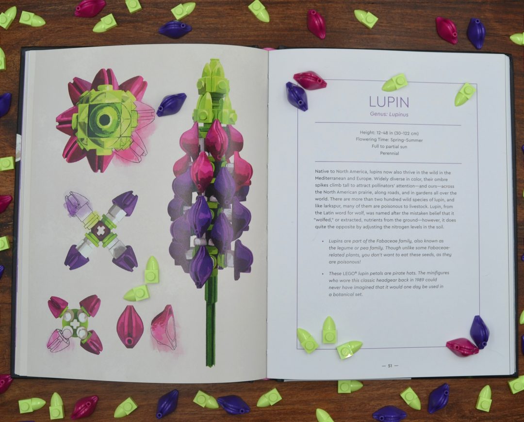 Book Review: Botanical Almanac A Field Guide to Brick-Built Blooms ...